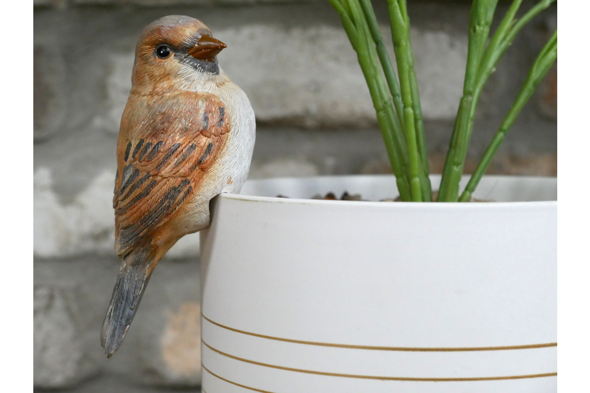 Bird Pot Hanger