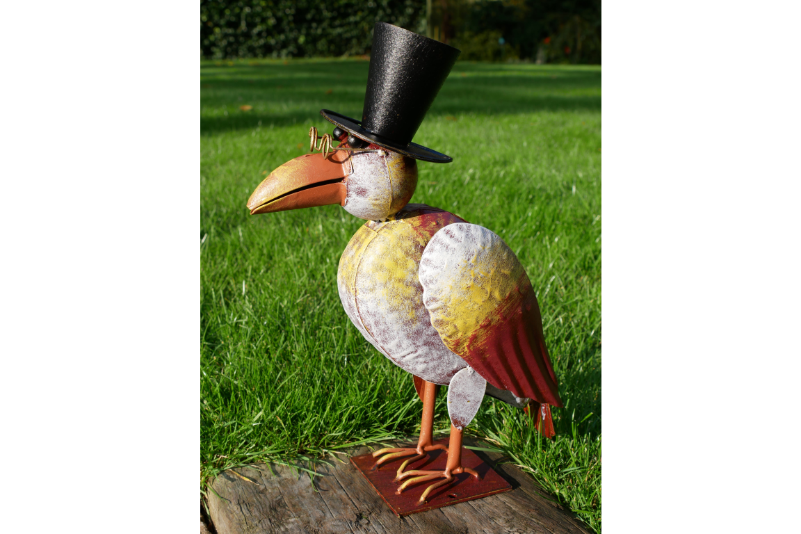 Bird In Top Hat