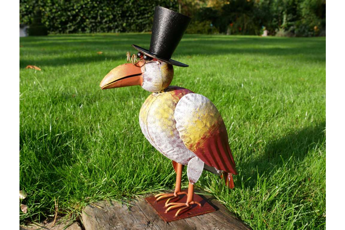 Bird In Top Hat