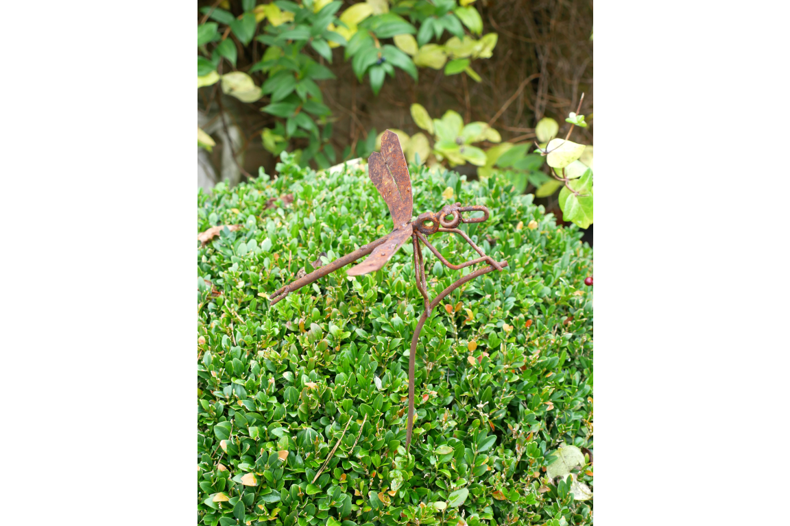 Rusty Dragonfly Stake
