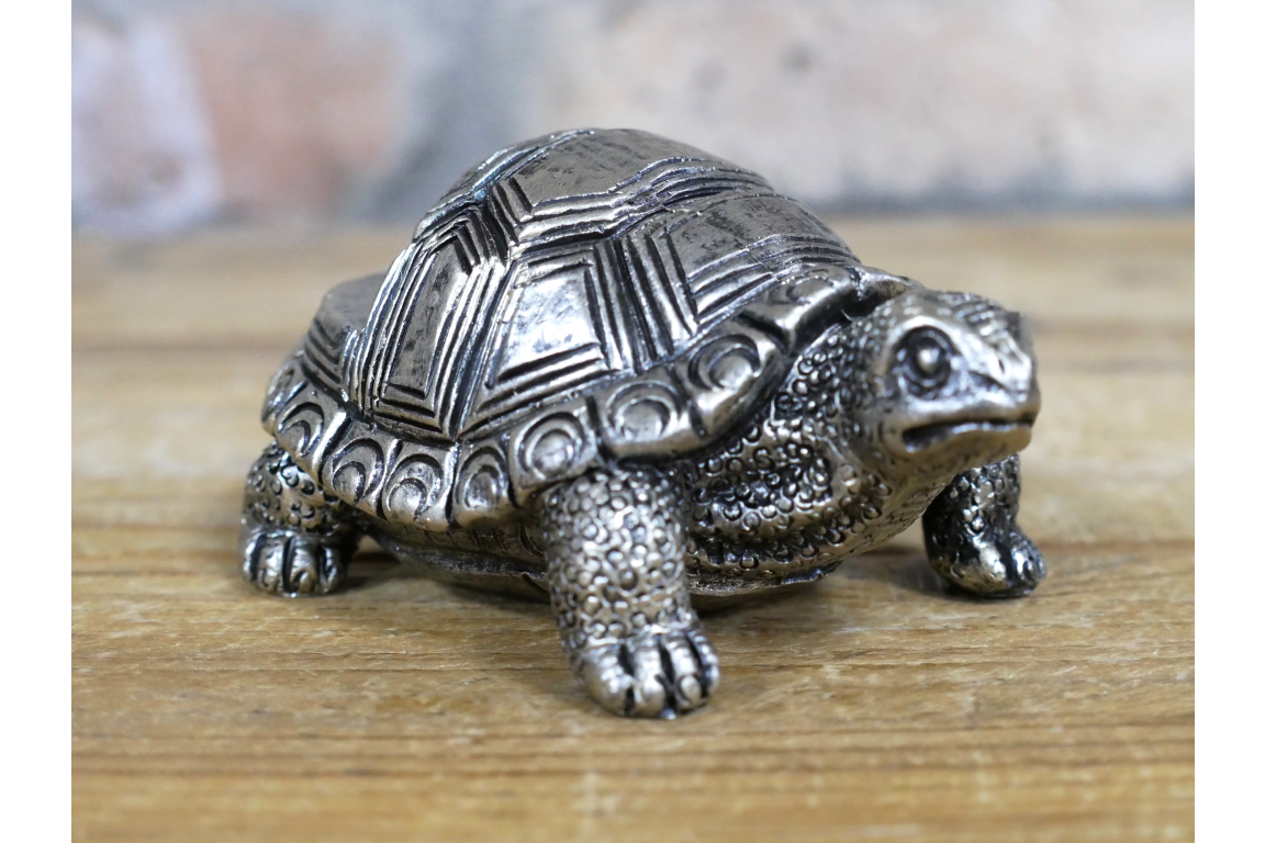 Tortoise Pot Stands (Set of 3)