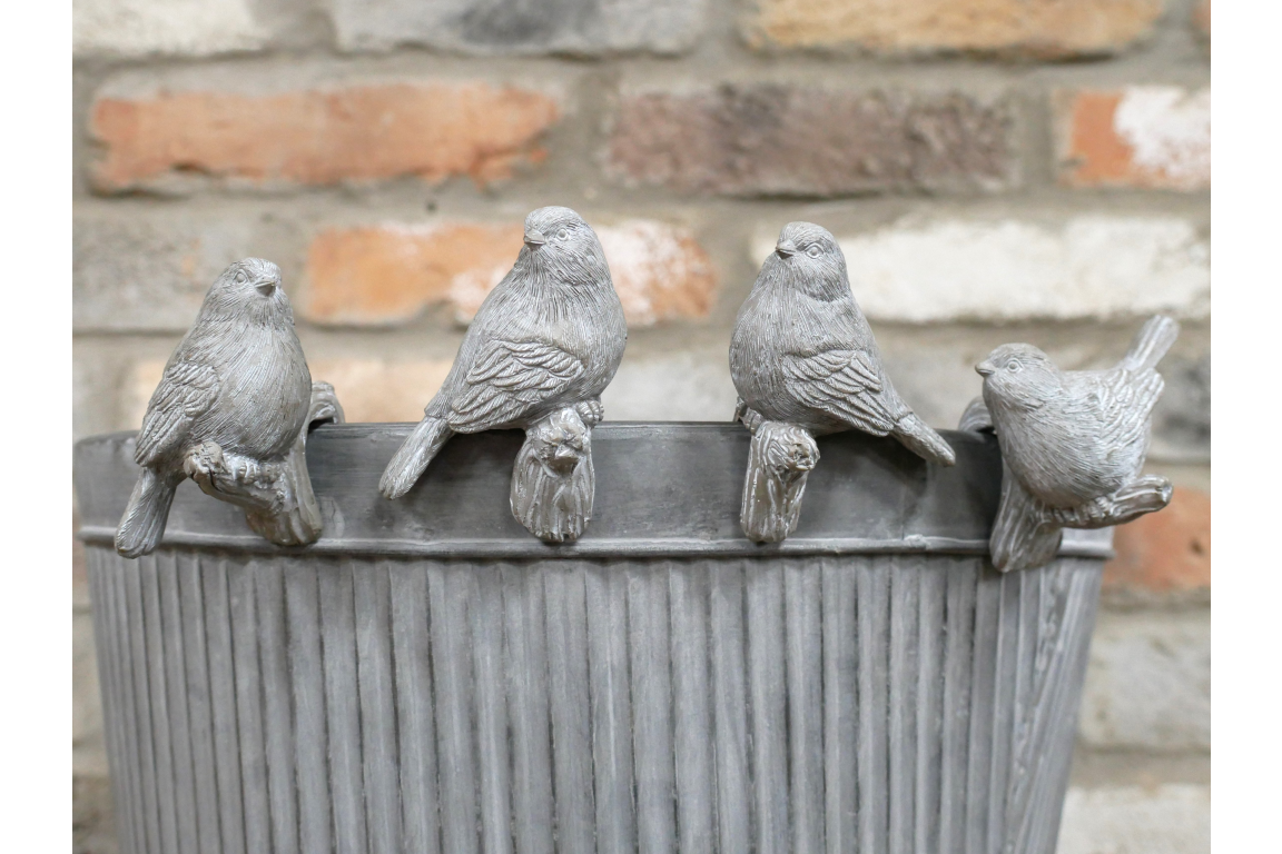 Birds Pot Hangers (Set of 4)