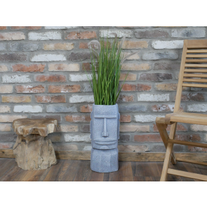 Planters & Hanging Baskets